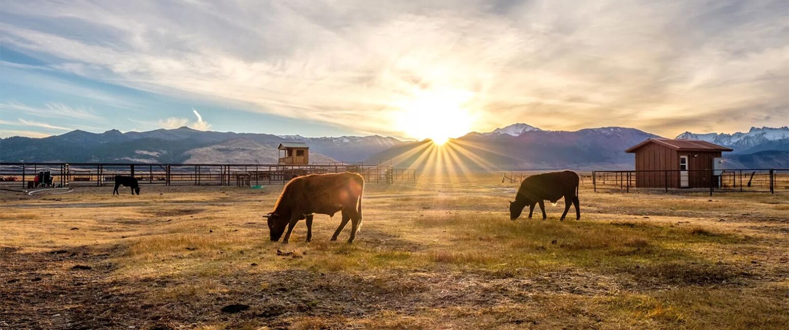 10 Best Places to Own a Ranch in the U.S. | UC Ranch Properties