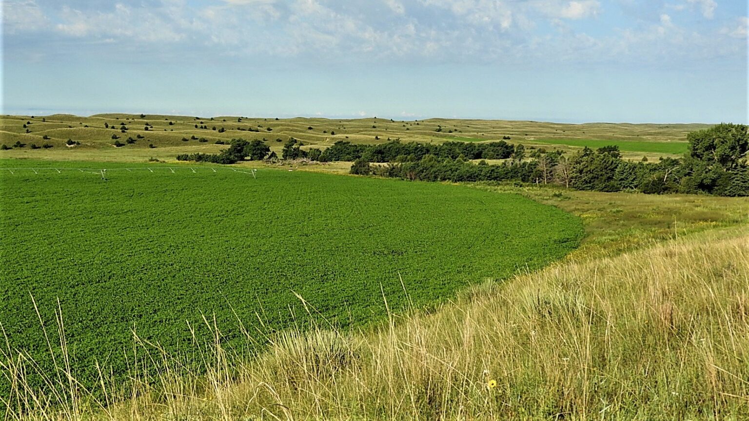 Nebraska Ranches for Sale - Premier Recreational Ranchland