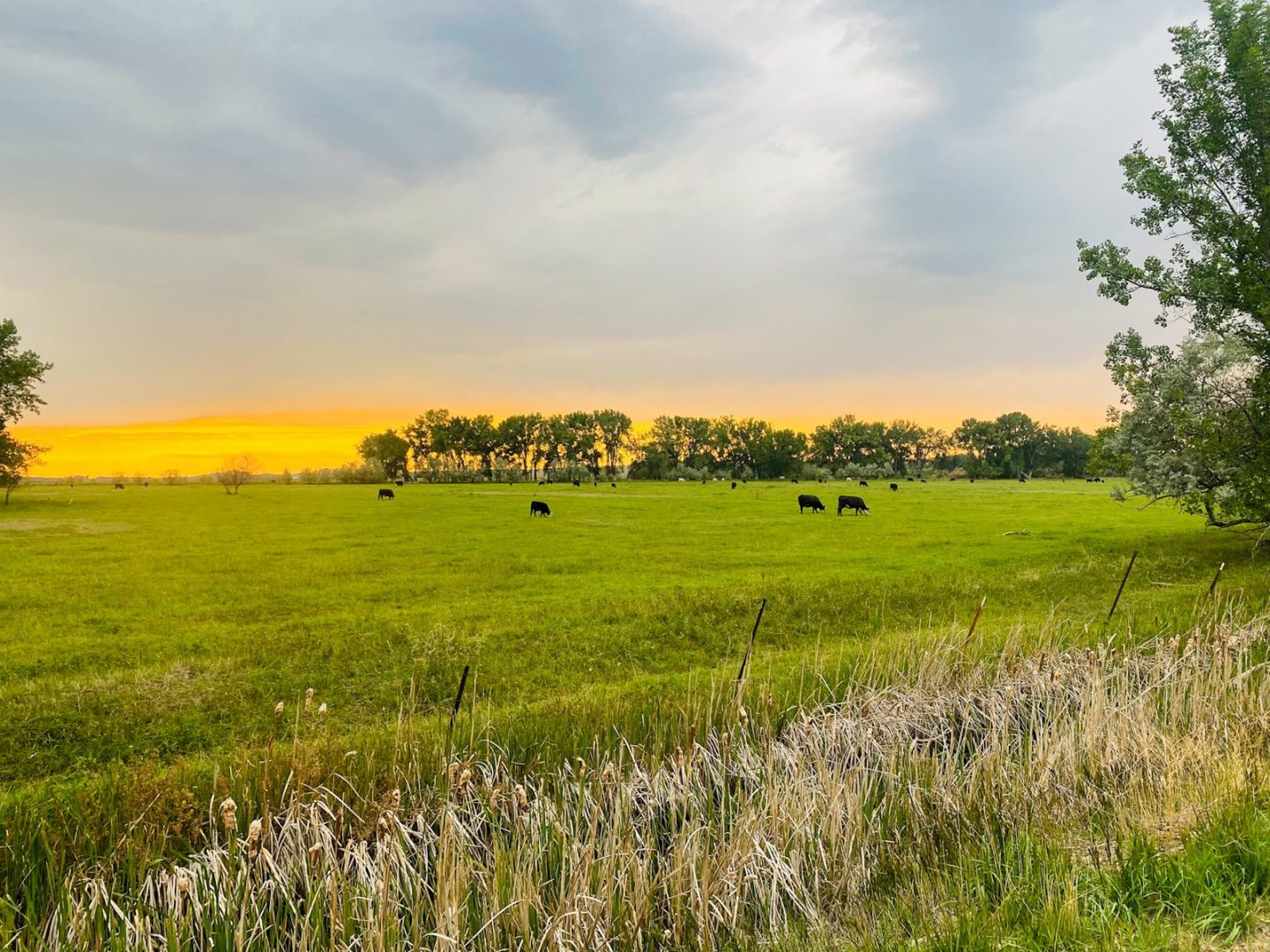 Historic 2N Ranch in Dodson, MT | UCRP