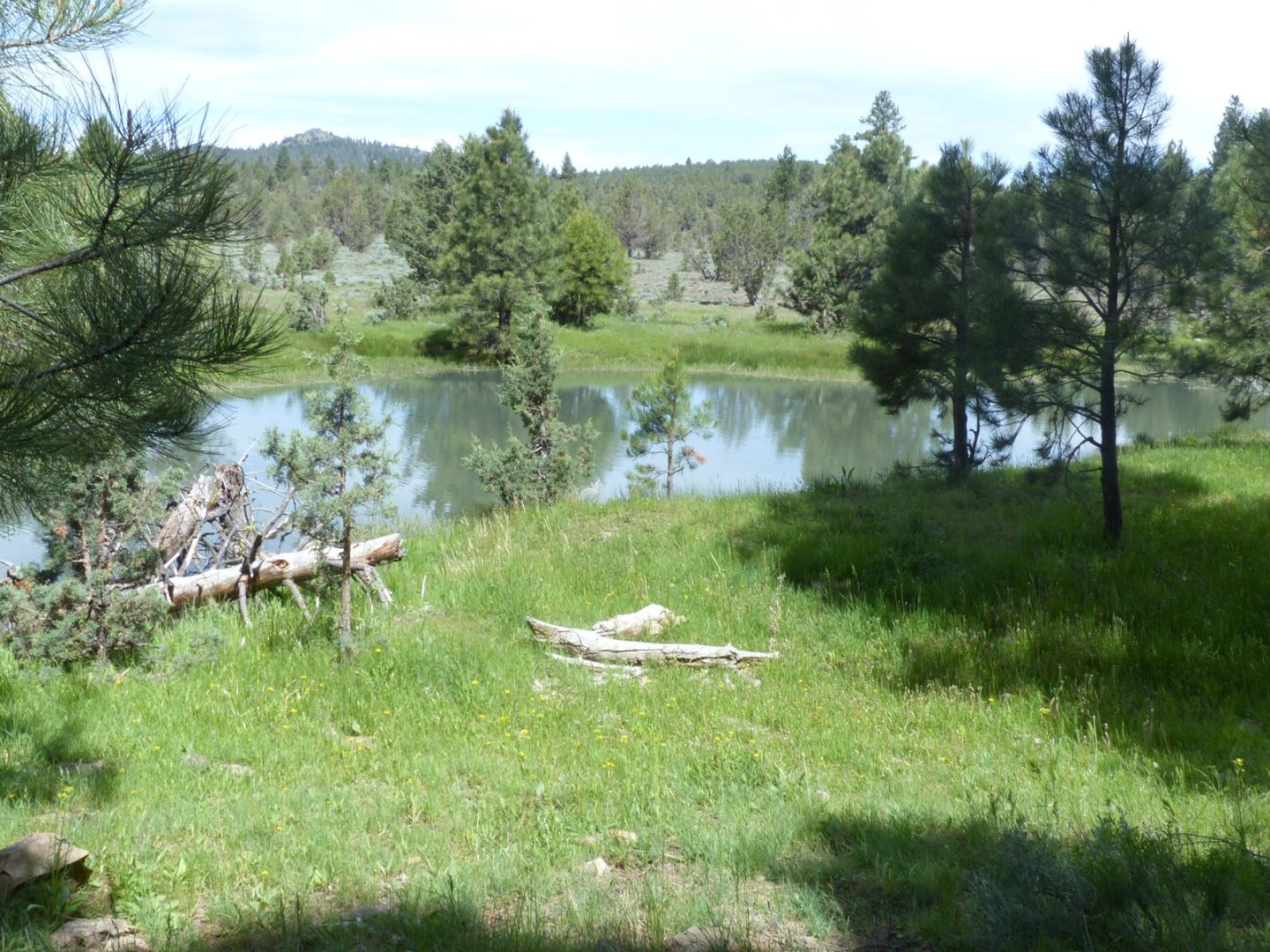 Eastern Oregon Hunting Oasis - Malheur Forest | UCRP