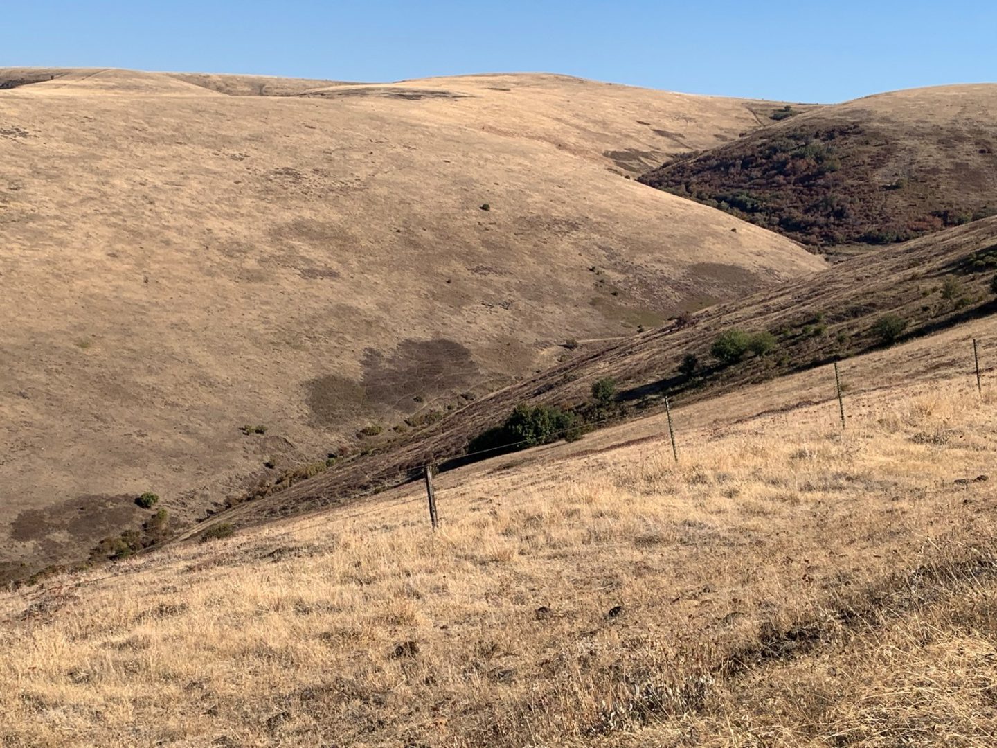 MC Ranch in Pilot Rock, Oregon | UCRP