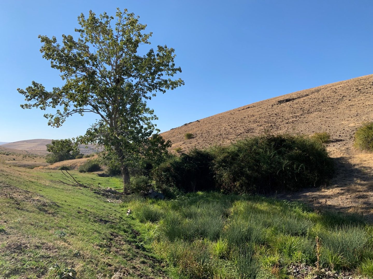 MC Ranch in Pilot Rock, Oregon | UCRP