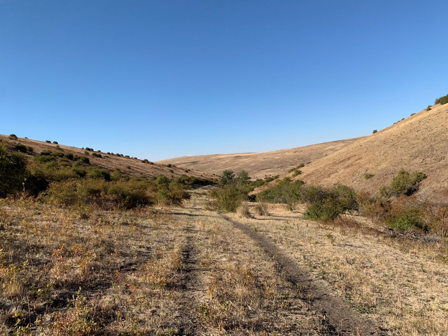MC Ranch in Pilot Rock, Oregon | UCRP