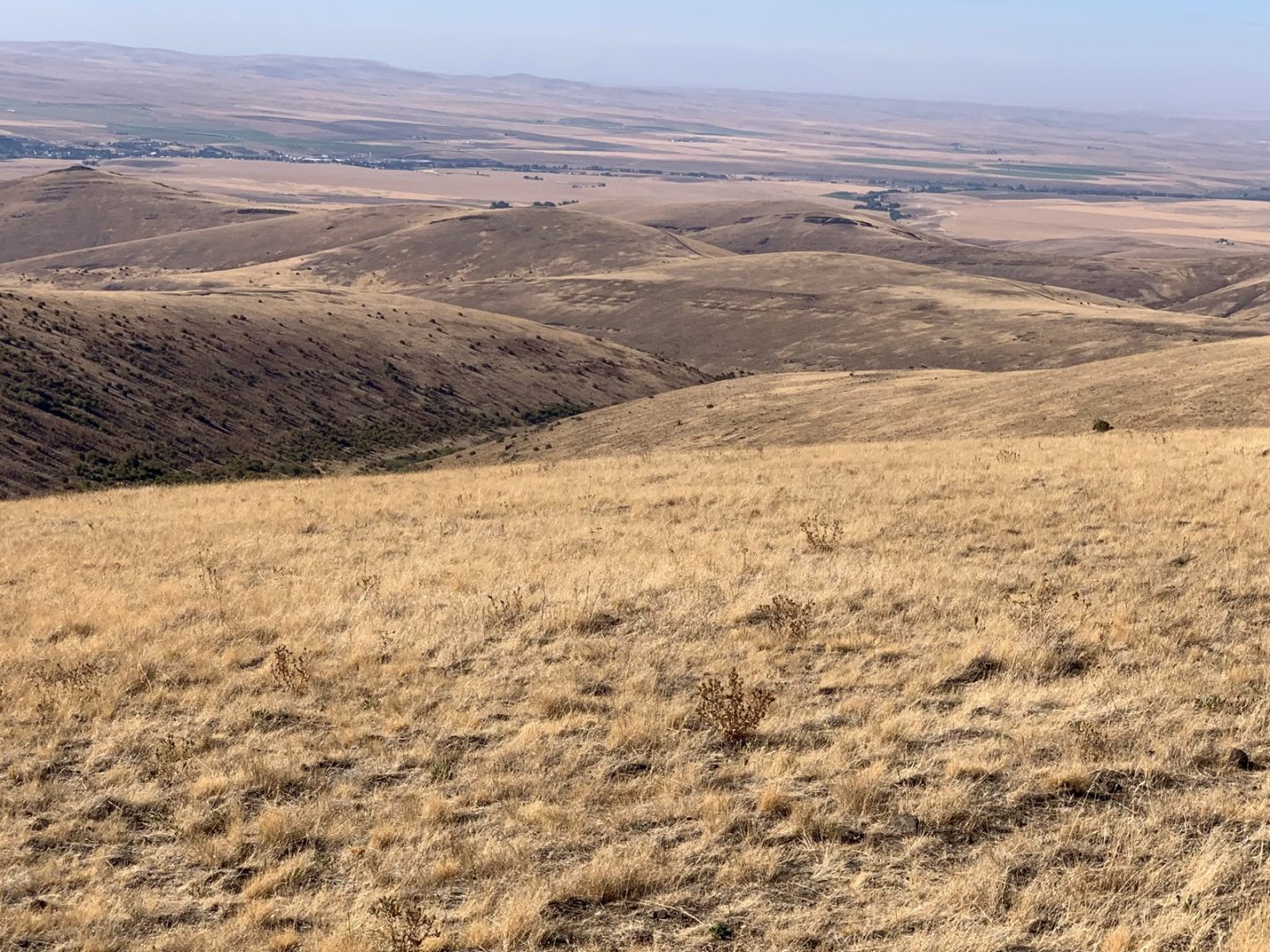 MC Ranch in Pilot Rock, Oregon | UCRP