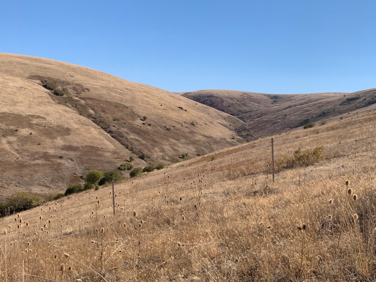 MC Ranch in Pilot Rock, Oregon | UCRP