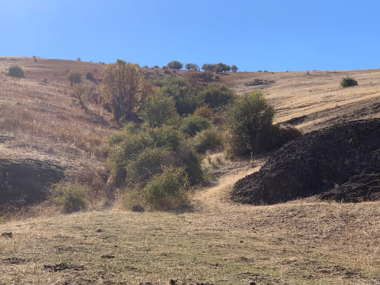 MC Ranch in Pilot Rock, Oregon | UCRP