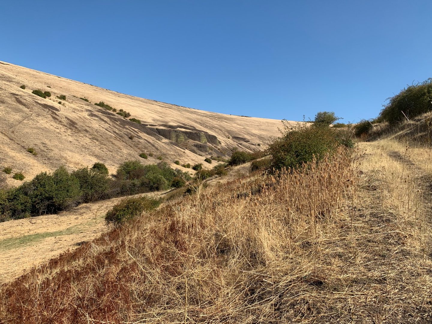MC Ranch in Pilot Rock, Oregon | UCRP