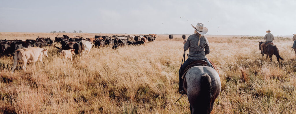 List of the Largest Ranches in the USA | UC Ranch Properties