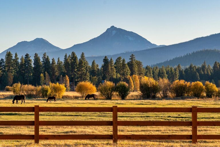 Ranching in Oregon - A Modern Day Oregon Trail