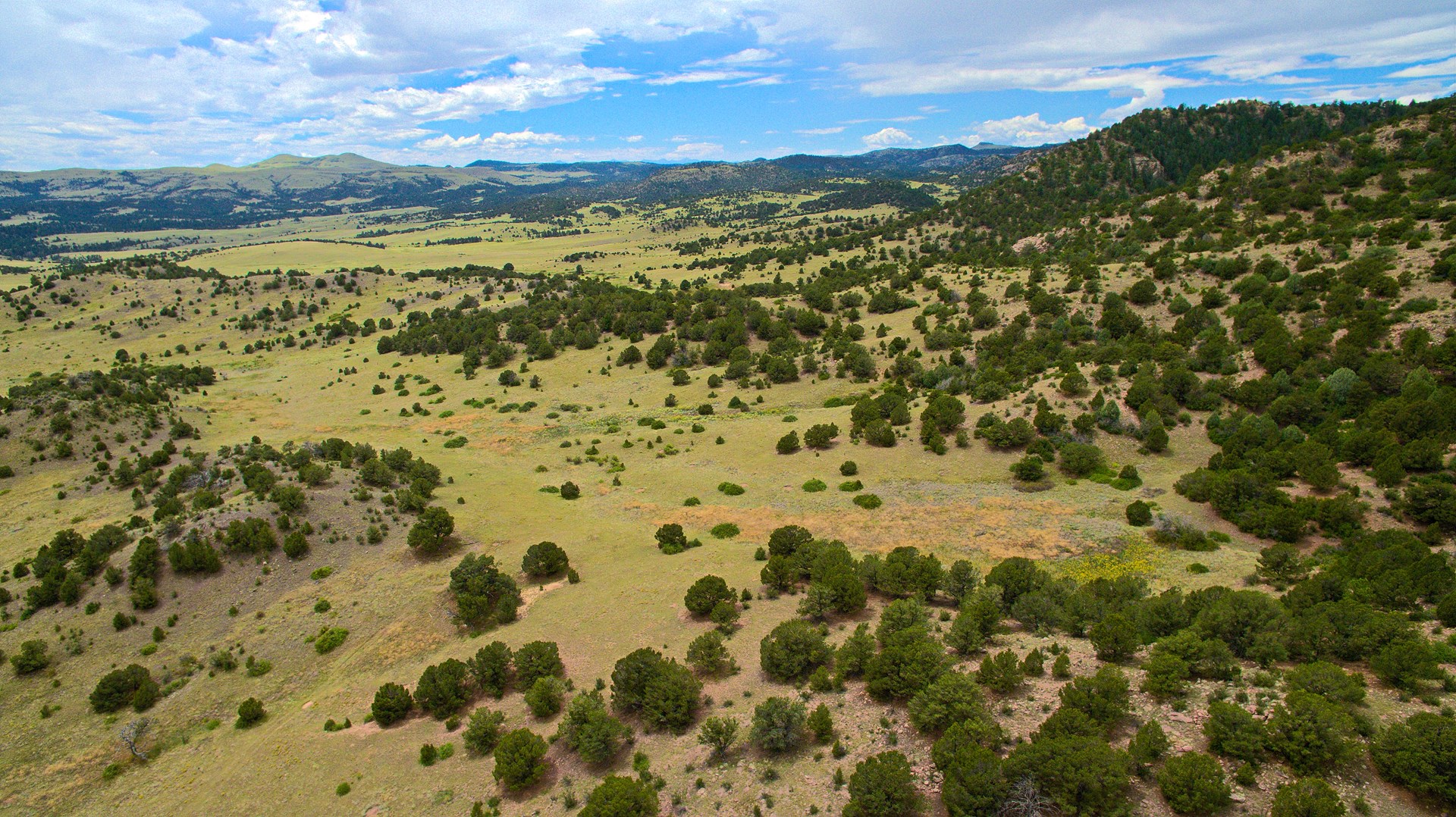 Scenic Colorado Mountain Ranch in Teller County - 591 Acres | UCRP