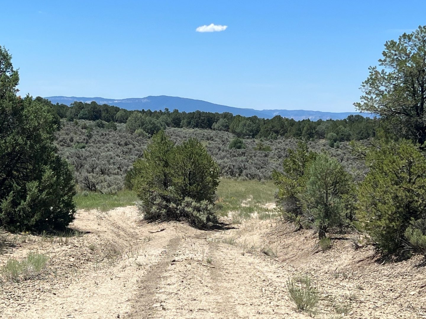 Incredible Elk Hunting Ranch in Chama Valley - 2,070 Acres | UCRP
