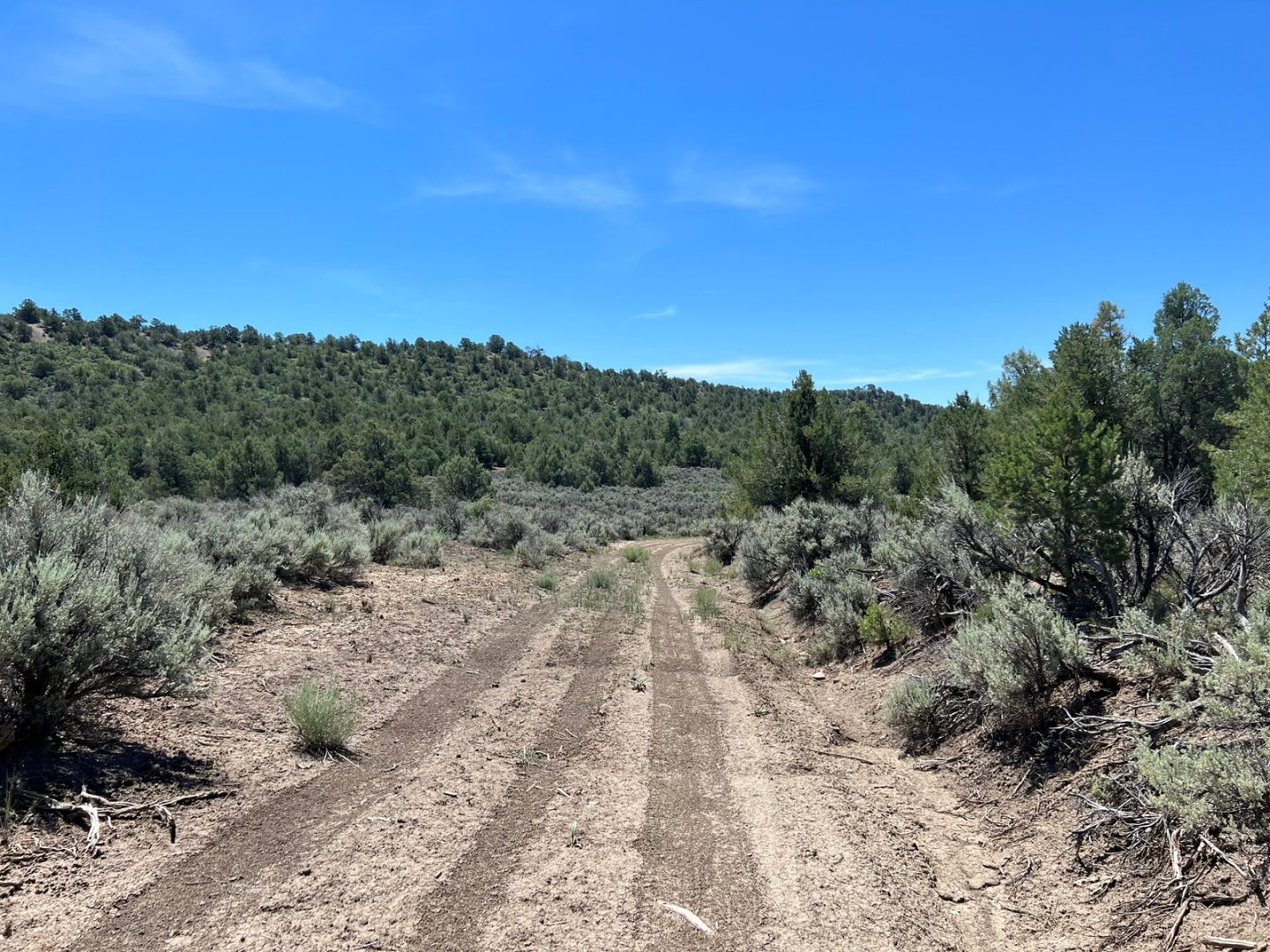 Incredible Elk Hunting Ranch in Chama Valley - 2,070 Acres | UCRP