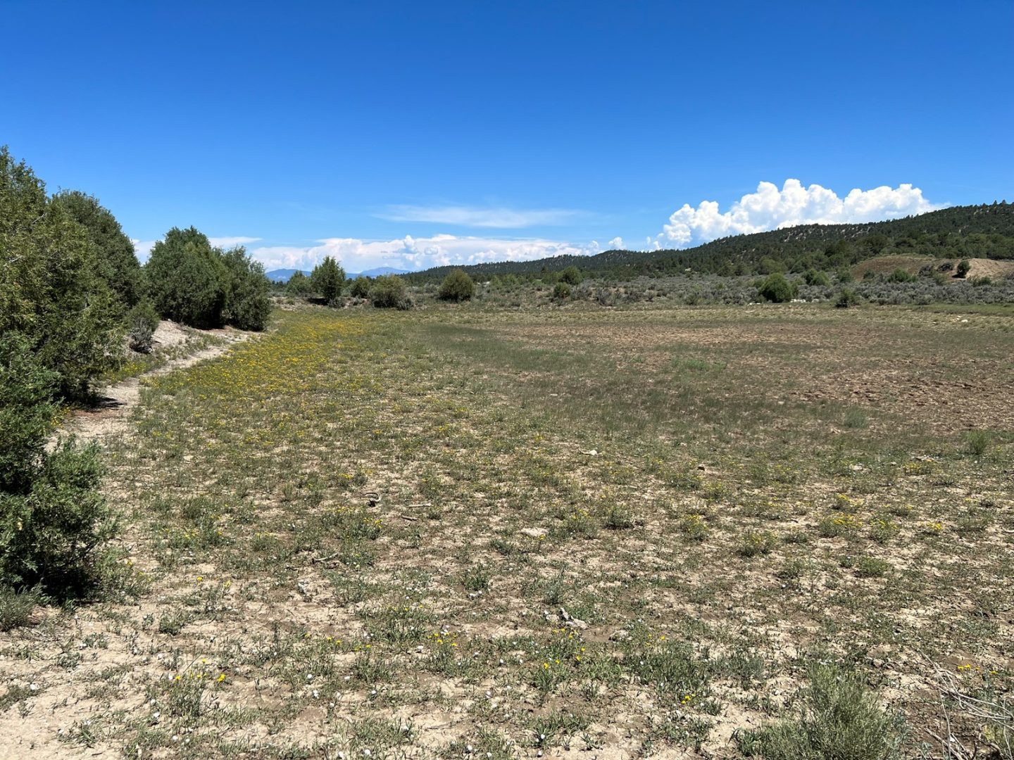 Incredible Elk Hunting Ranch in Chama Valley - 2,070 Acres | UCRP