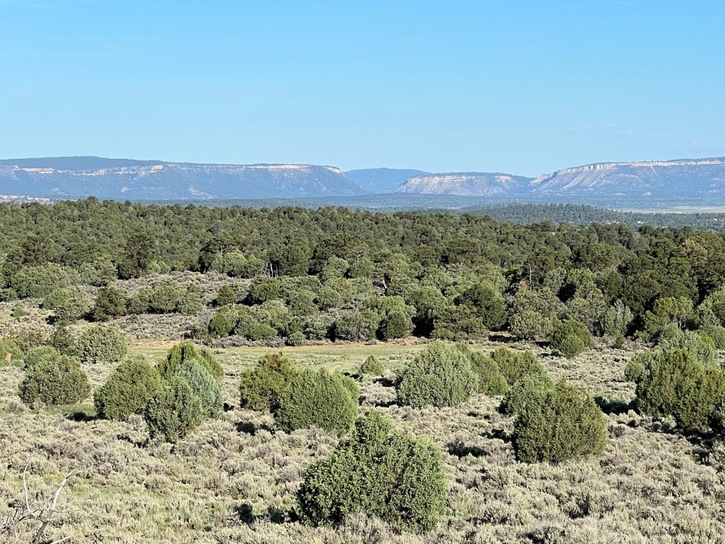 Incredible Elk Hunting Ranch in Chama Valley - 2,070 Acres | UCRP