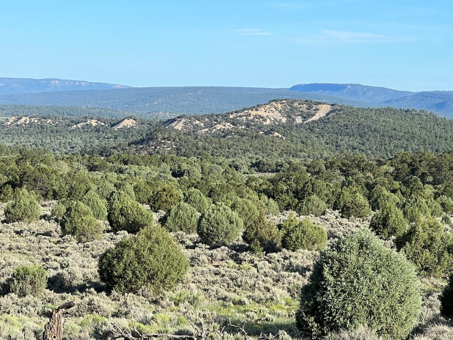 Incredible Elk Hunting Ranch in Chama Valley - 2,070 Acres | UCRP