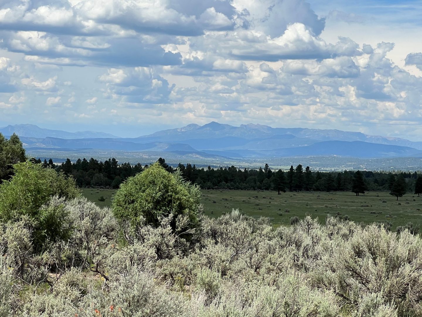 Hunting Ranch with Wooded Acreage in Northern New Mexico | UCRP