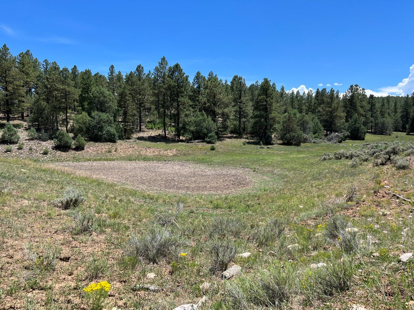 Hunting Ranch with Wooded Acreage in Northern New Mexico | UCRP