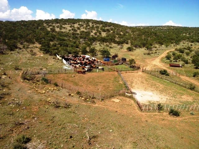 Bullis Springs Ranch in Chaves County, NM | UCRP