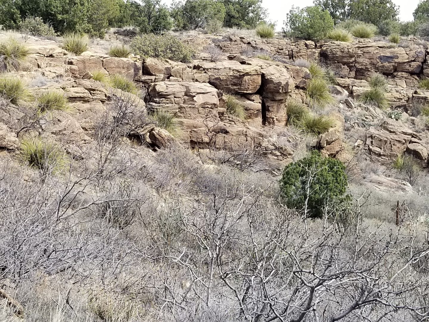 Pecos River Ranch in Central New Mexico | UCRP