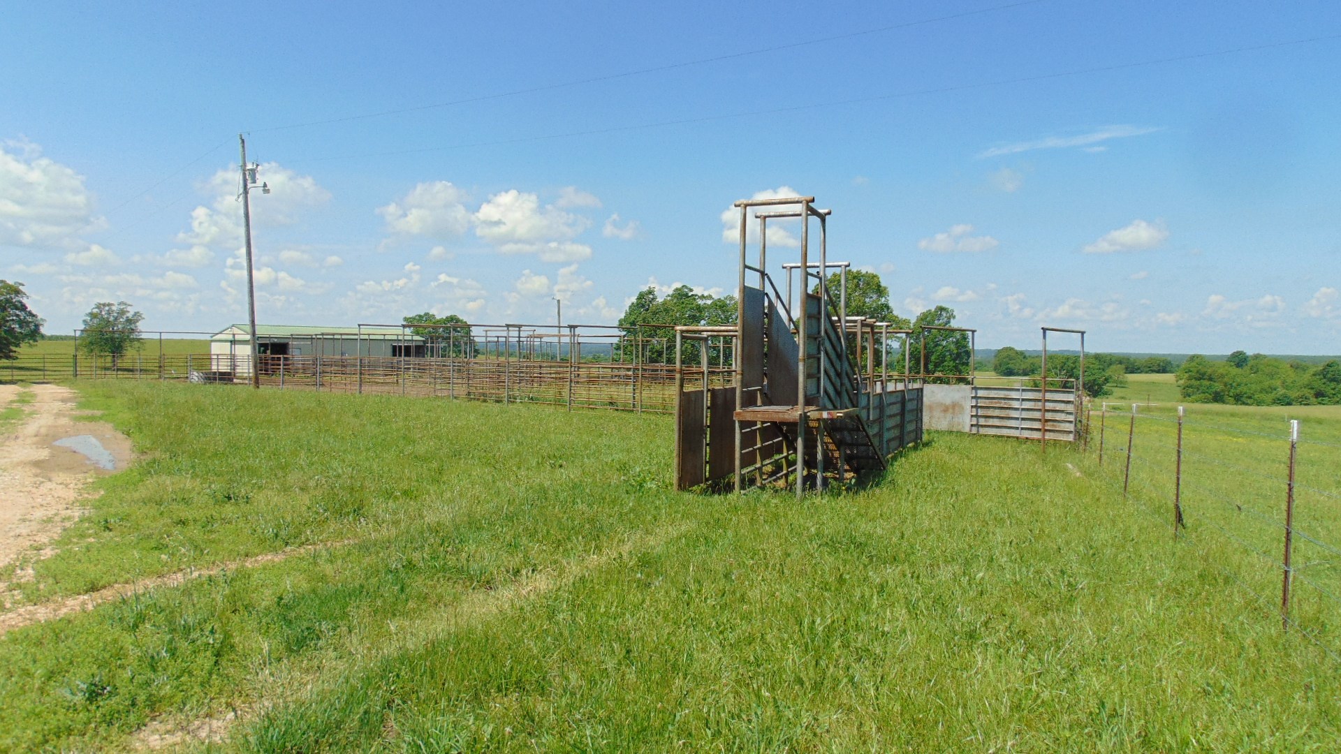 Cattle Ranch in South Central Missouri | UCRP