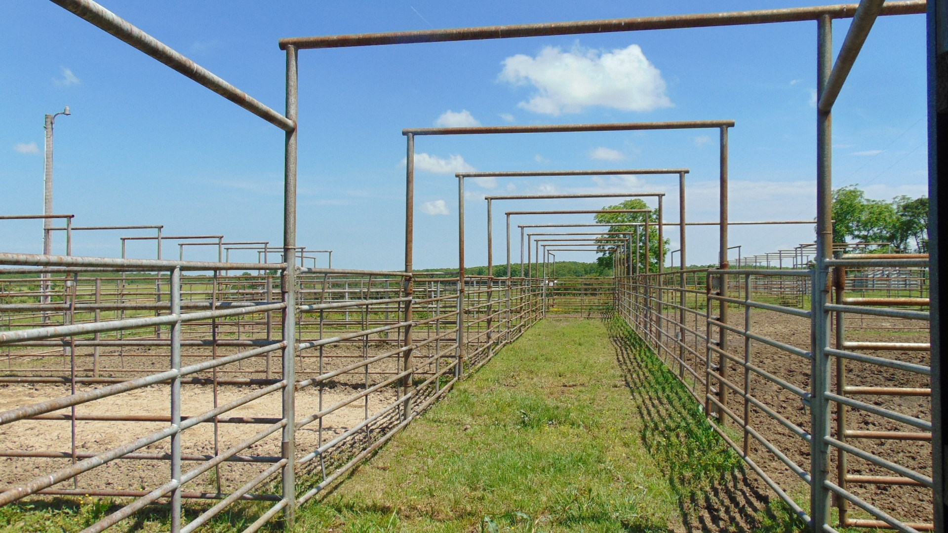 Cattle Ranch in South Central Missouri | UCRP