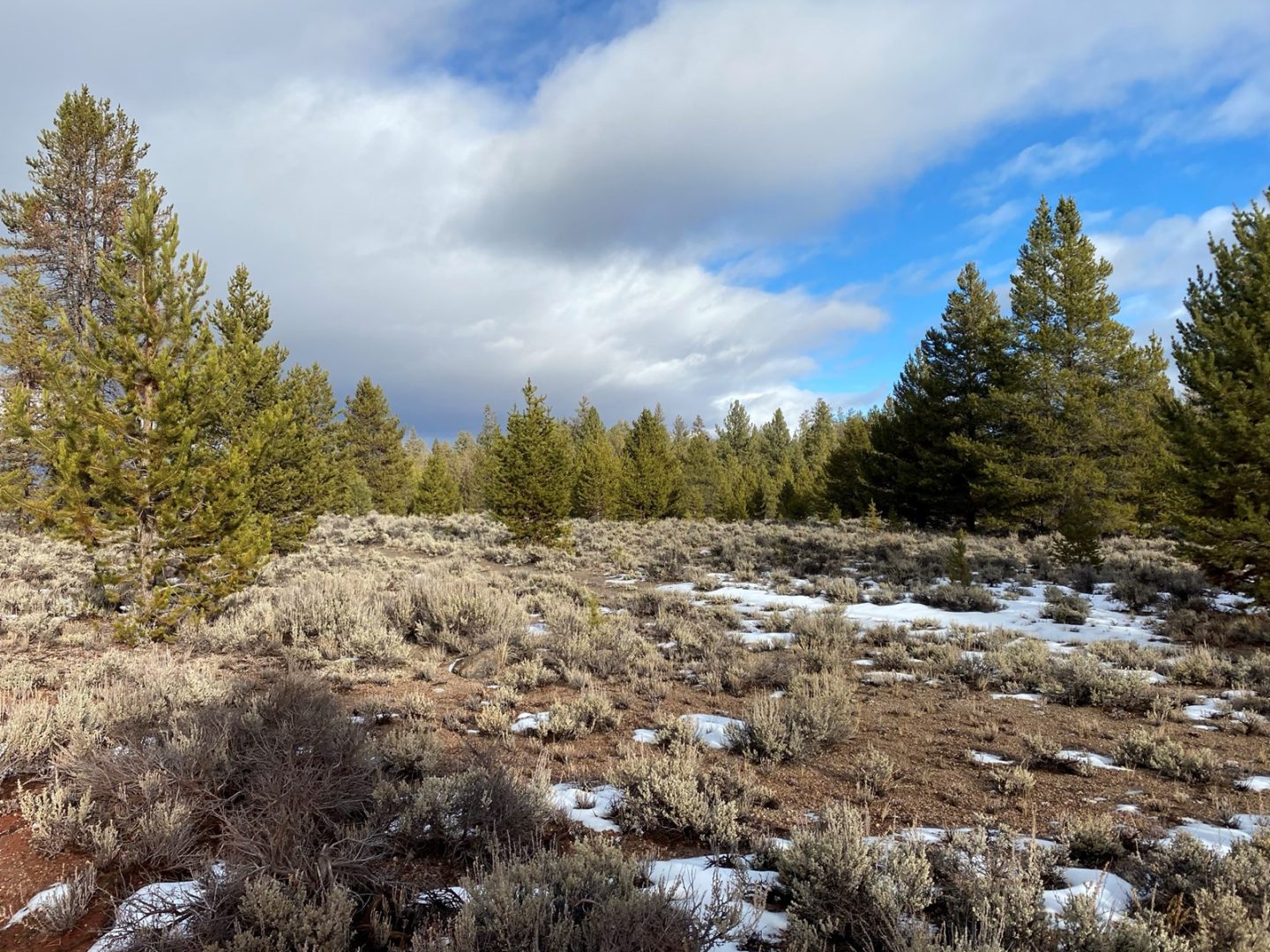 Desert Ranch in Brothers, Oregon | UCRP