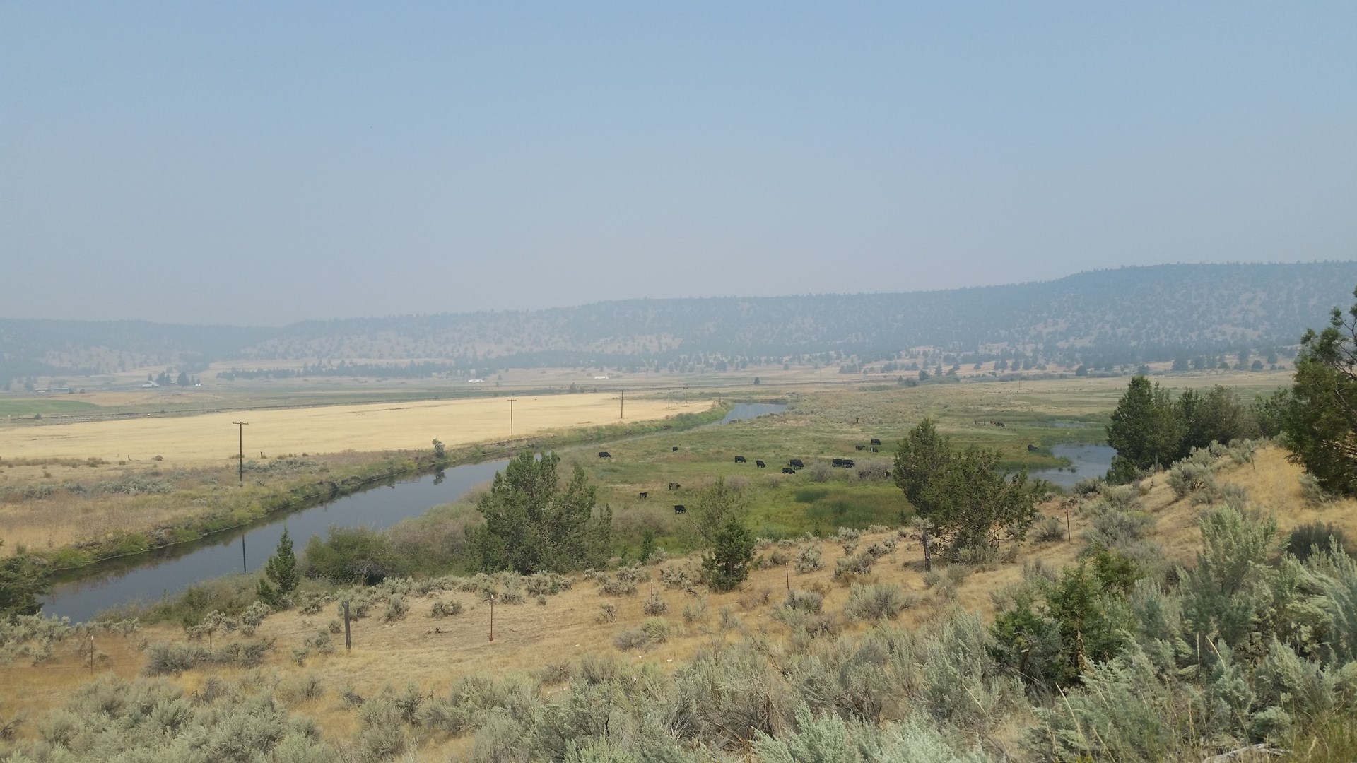Cattle & Bison Ranch in Alturas, CA | UCRP