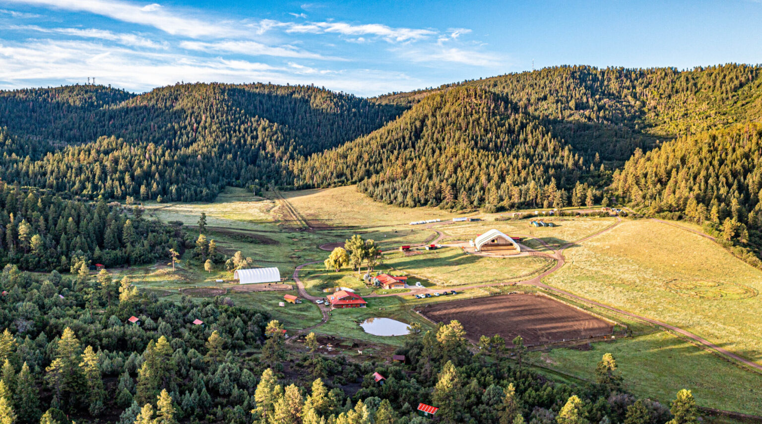Pat Parelli on His Ranch and the Future of Natural Horsemanship