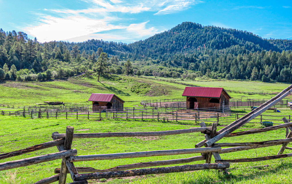 Pat Parelli on His Ranch and the Future of Natural Horsemanship