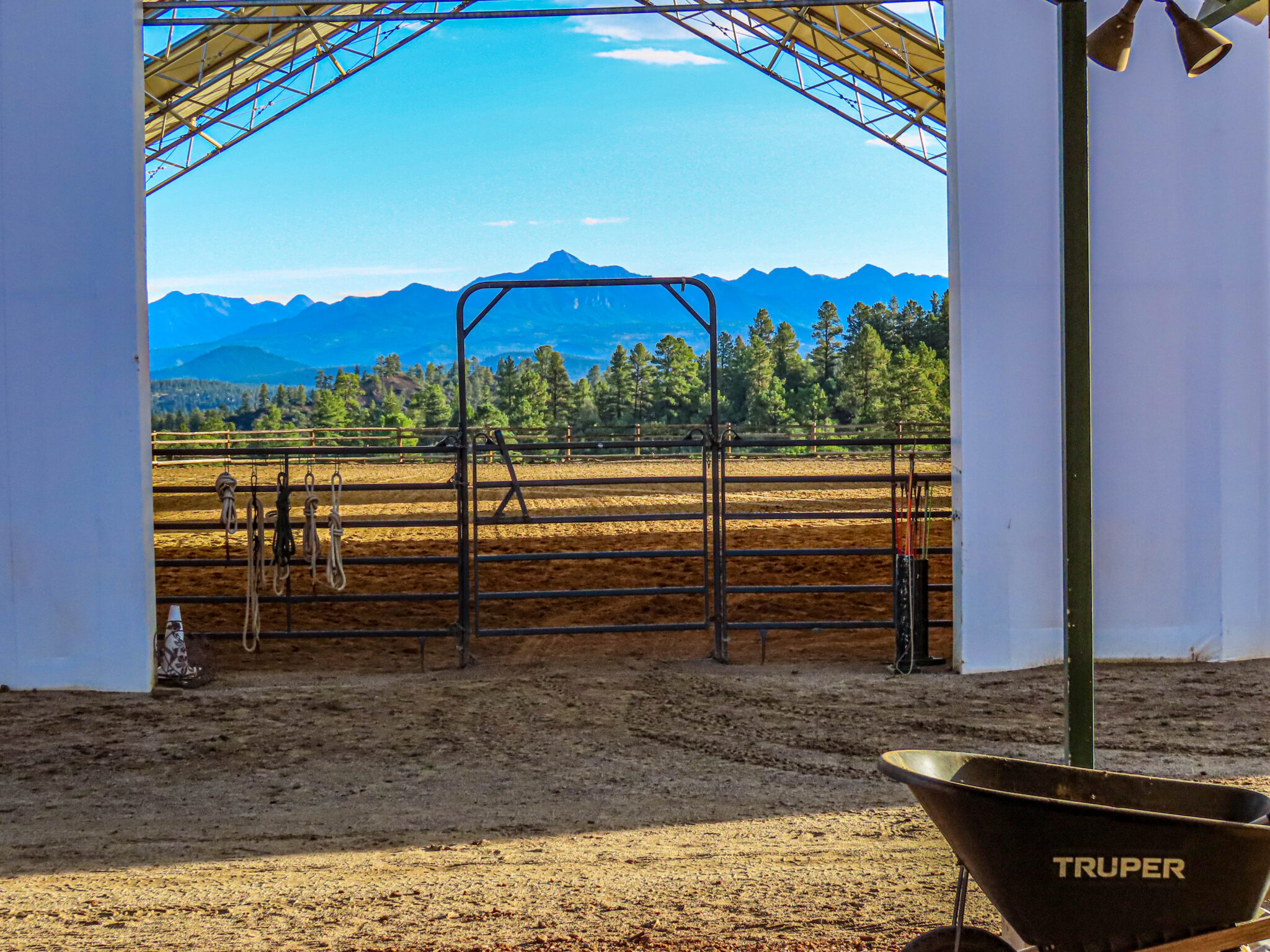 Pat Parelli on His Ranch and the Future of Natural Horsemanship
