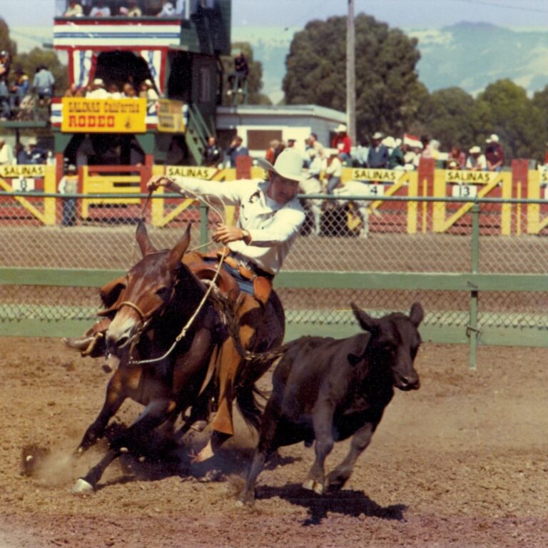 Pat Parelli on His Ranch and the Future of Natural Horsemanship