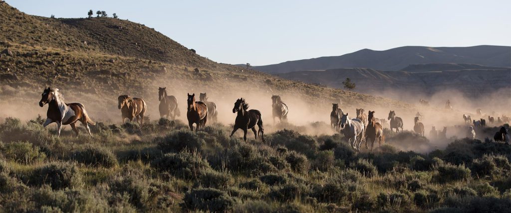 Dude Ranches for Sale | UC Ranch Properties