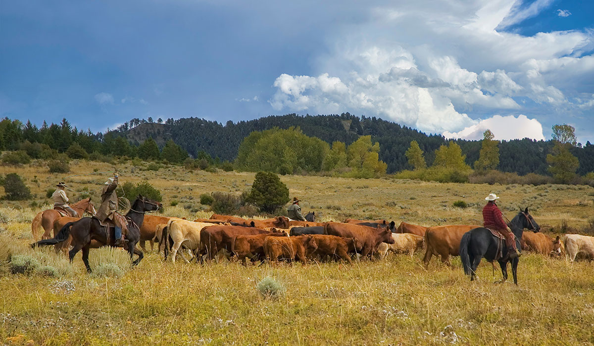 What are Legacy Ranches? | UC Ranch Properties