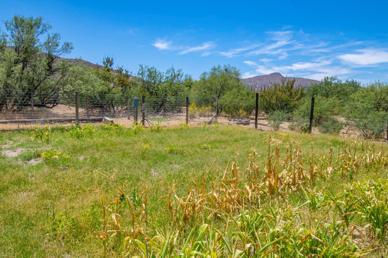 Incredible Ranch in Hillside, AZ for Sale - 400 Acres | UCRP