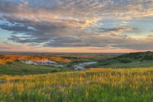 Most Famous Ranches in Texas | UC Ranch Properties