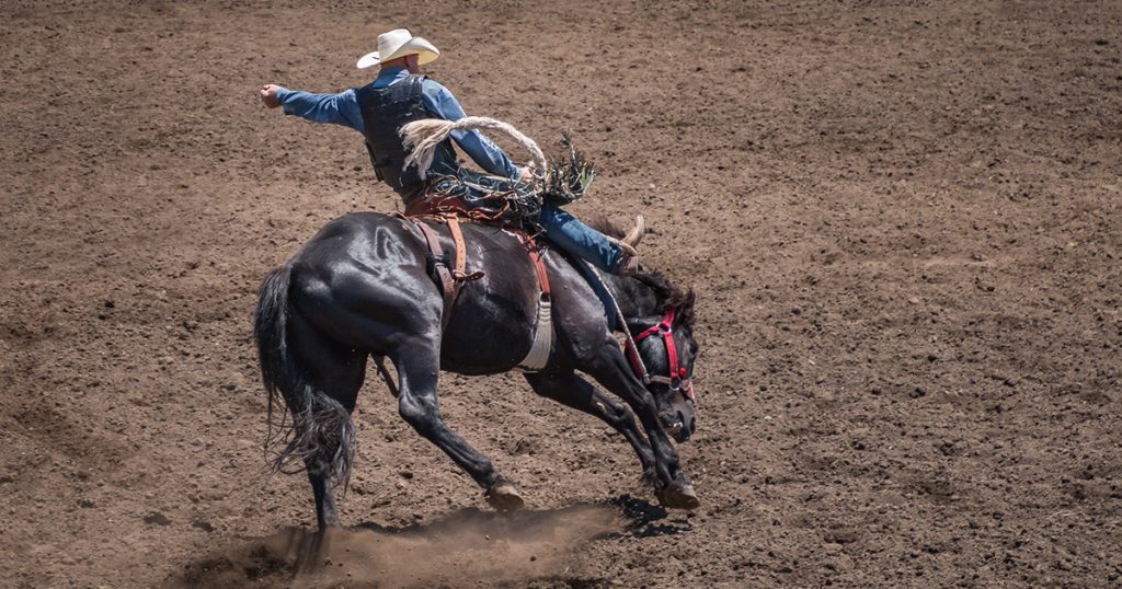Rodeos - Part of the American Culture | UC Ranch Properties