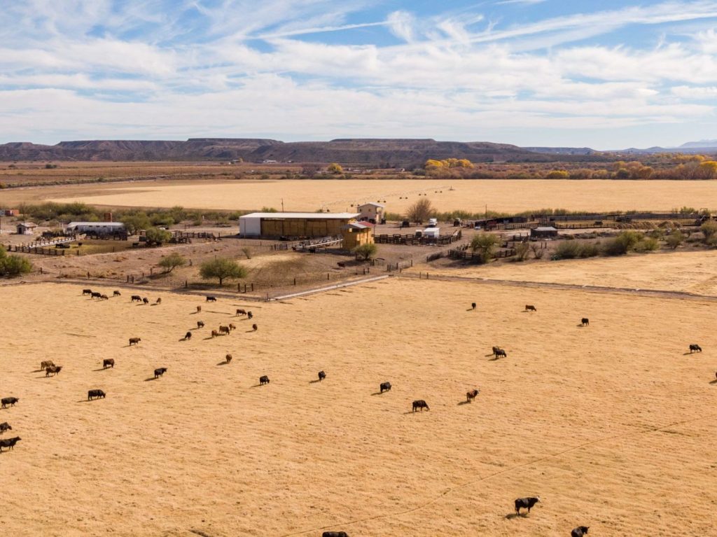 Arizona Ranches for Sale | Luxury Dude and Cattle Ranches
