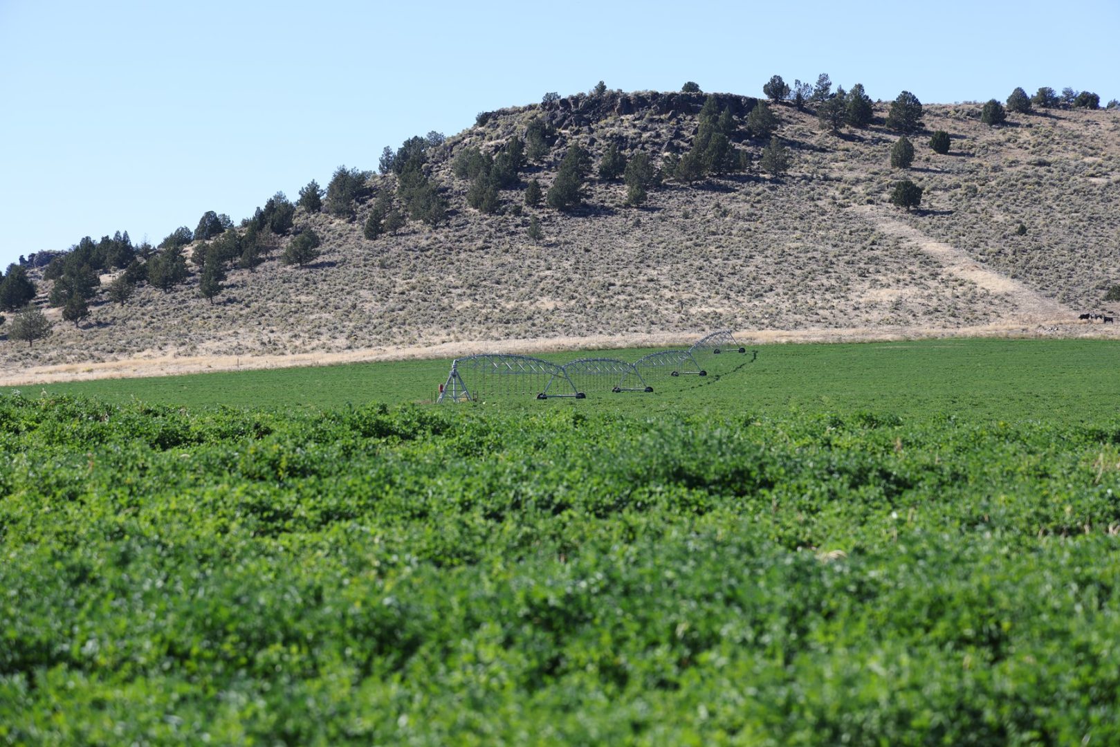 453-Acre Eastern Oregon Farm/Ranch in Burns, OR | UCRP