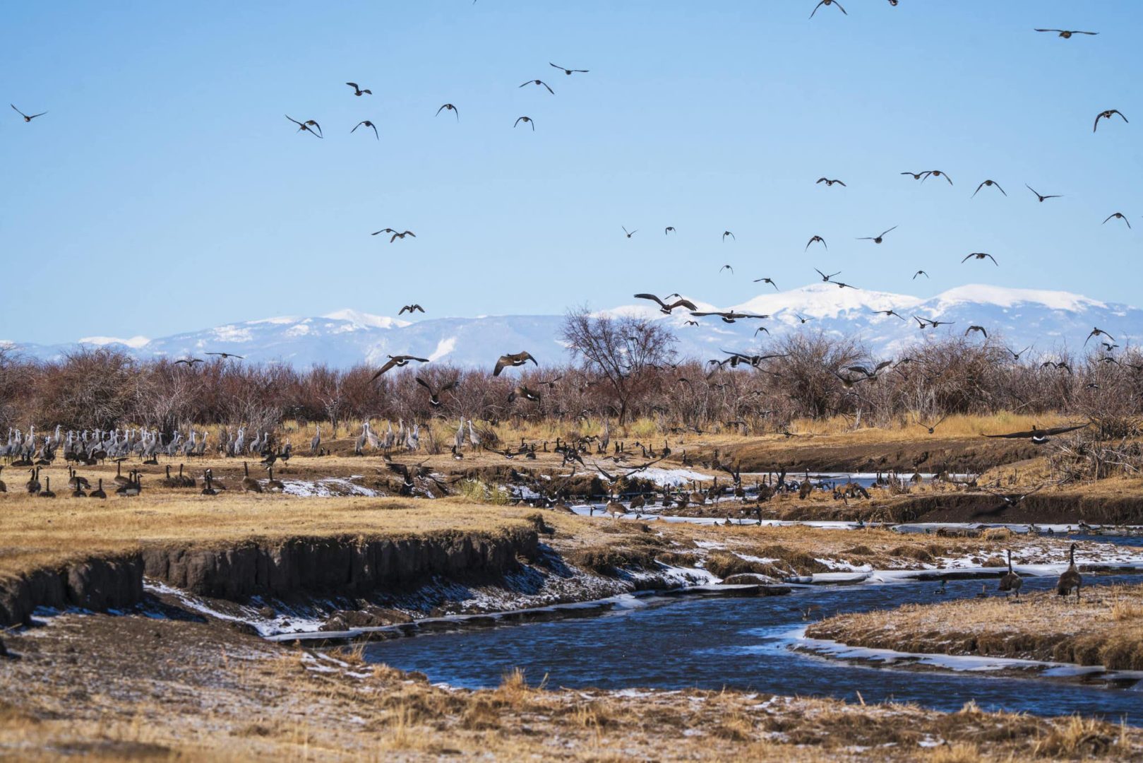 5 Largest Ranches in Colorado | UC Ranch Properties