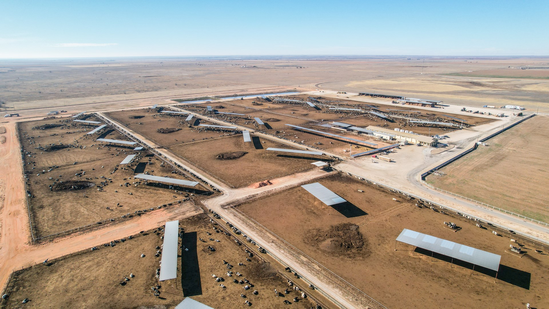 Magnificent 1,436-Acre Dairy Farm & Cattle Ranch in Amherst, Texas | UCRP