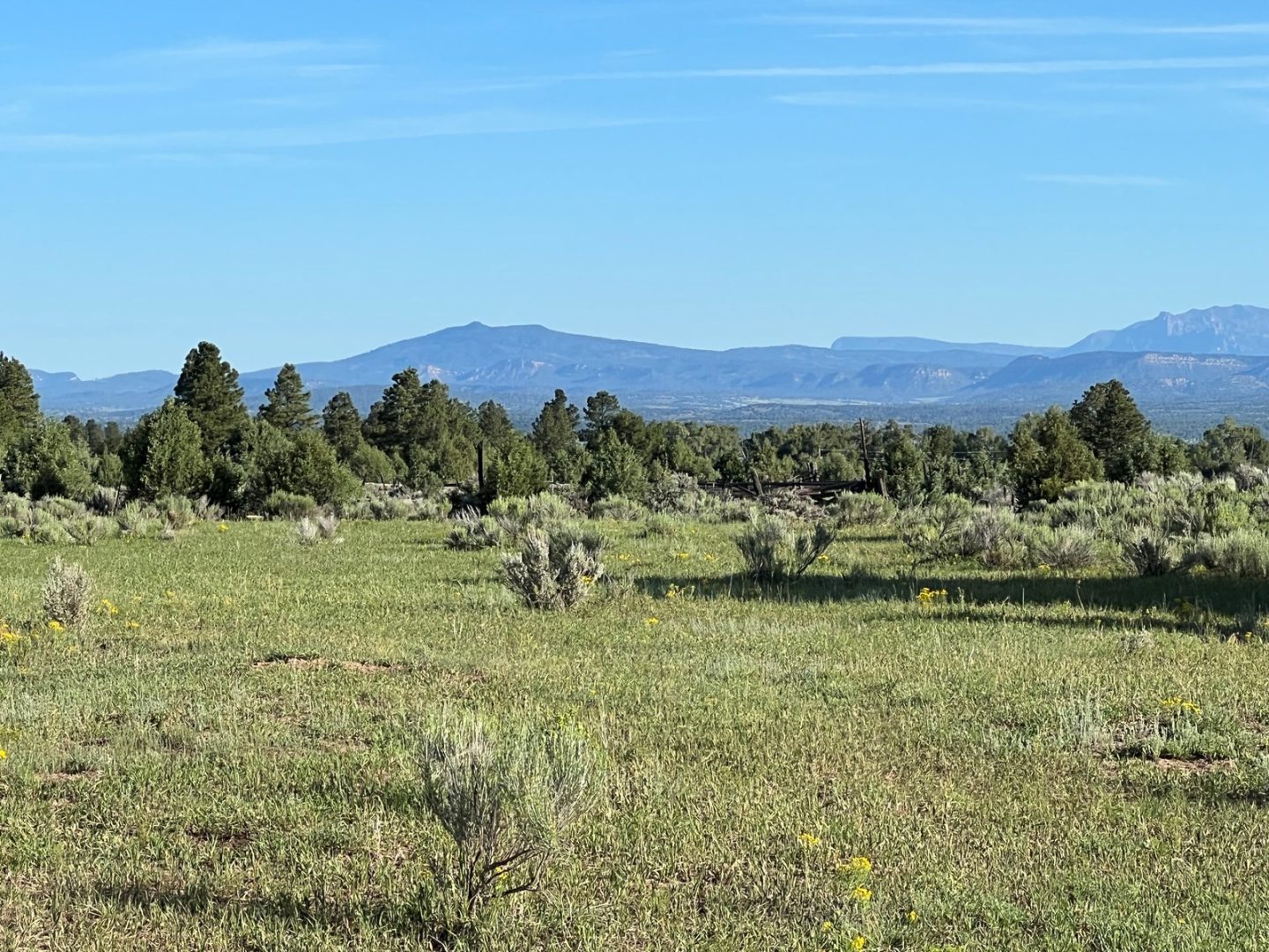 New Mexico Ranches for Sale - Magnificent Ranch Opportunities