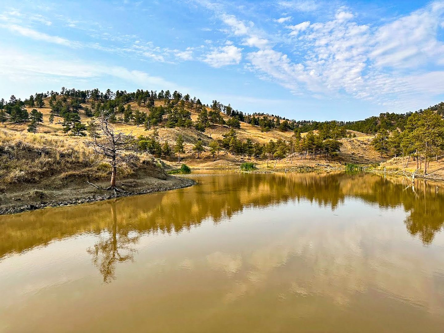 1,888-Acre Cow Island Trail Ranch in Chinook, MT | UCRP