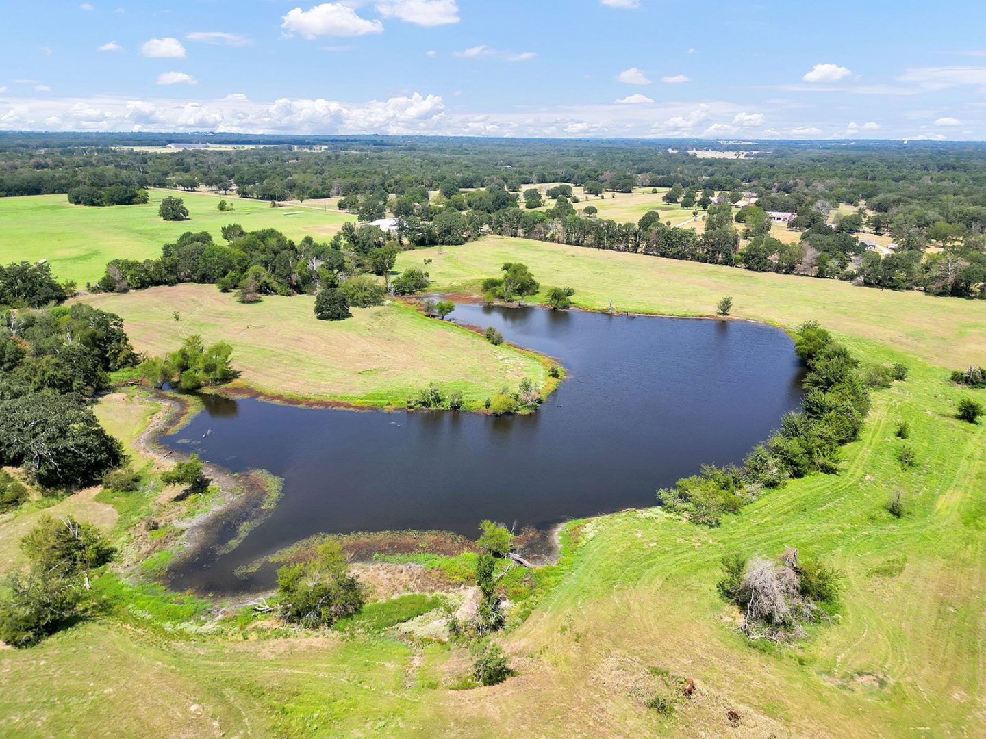 Double Diamond Ranch - 141-Acre Live Water Recreational Ranch in ...
