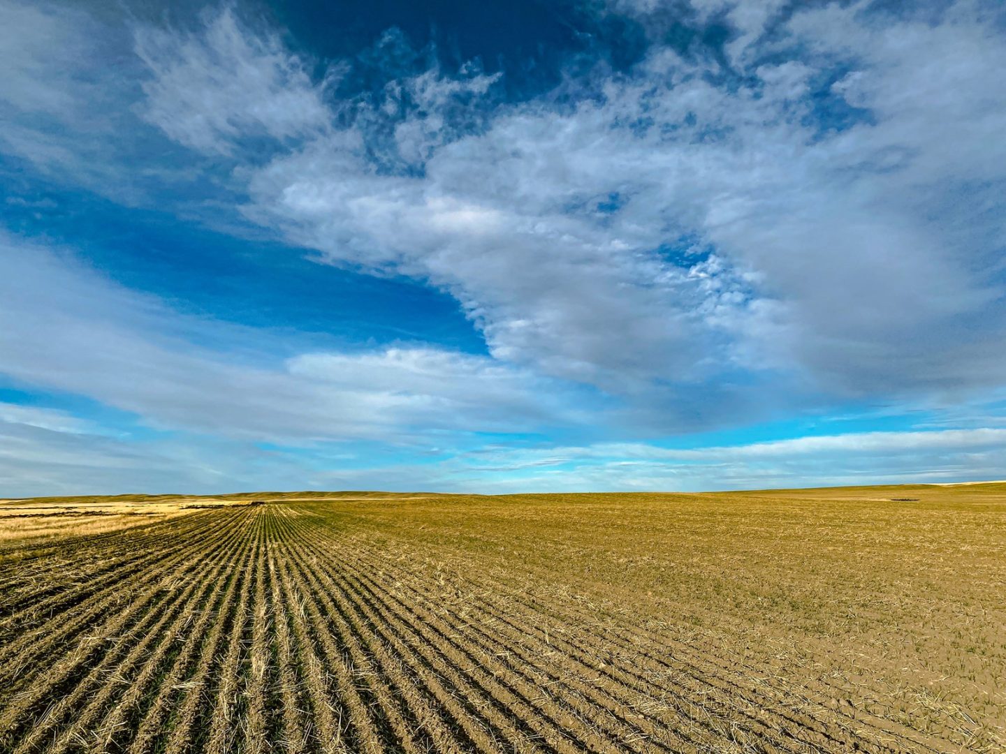 The Baker Farm - 1,275 Acres in Harlem, MT | UCRP