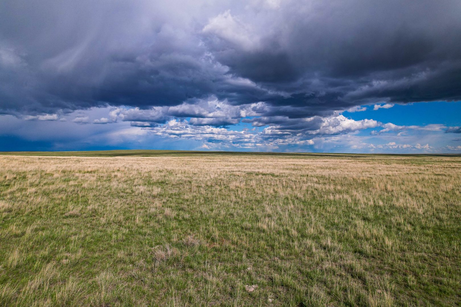 Montana Ranches for Sale - The finest ranchland in the nation
