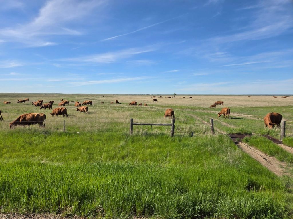 Montana Ranches for Sale - The finest ranchland in the nation