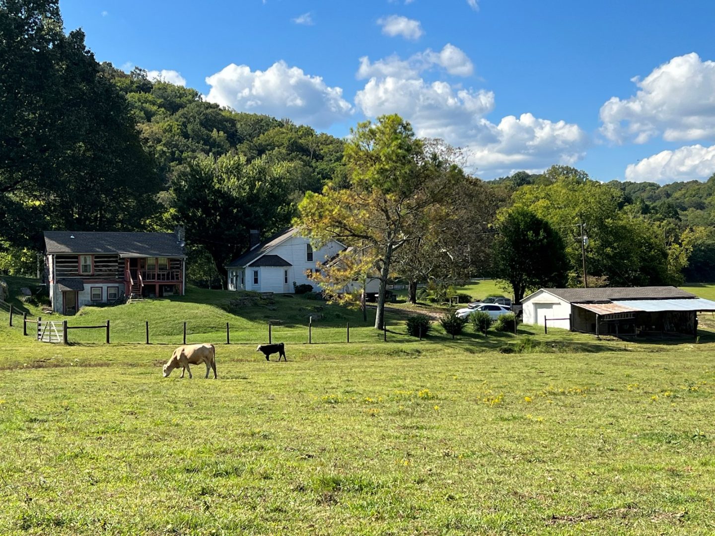 Tennessee Ranches for Sale | Luxury and Premier Listings