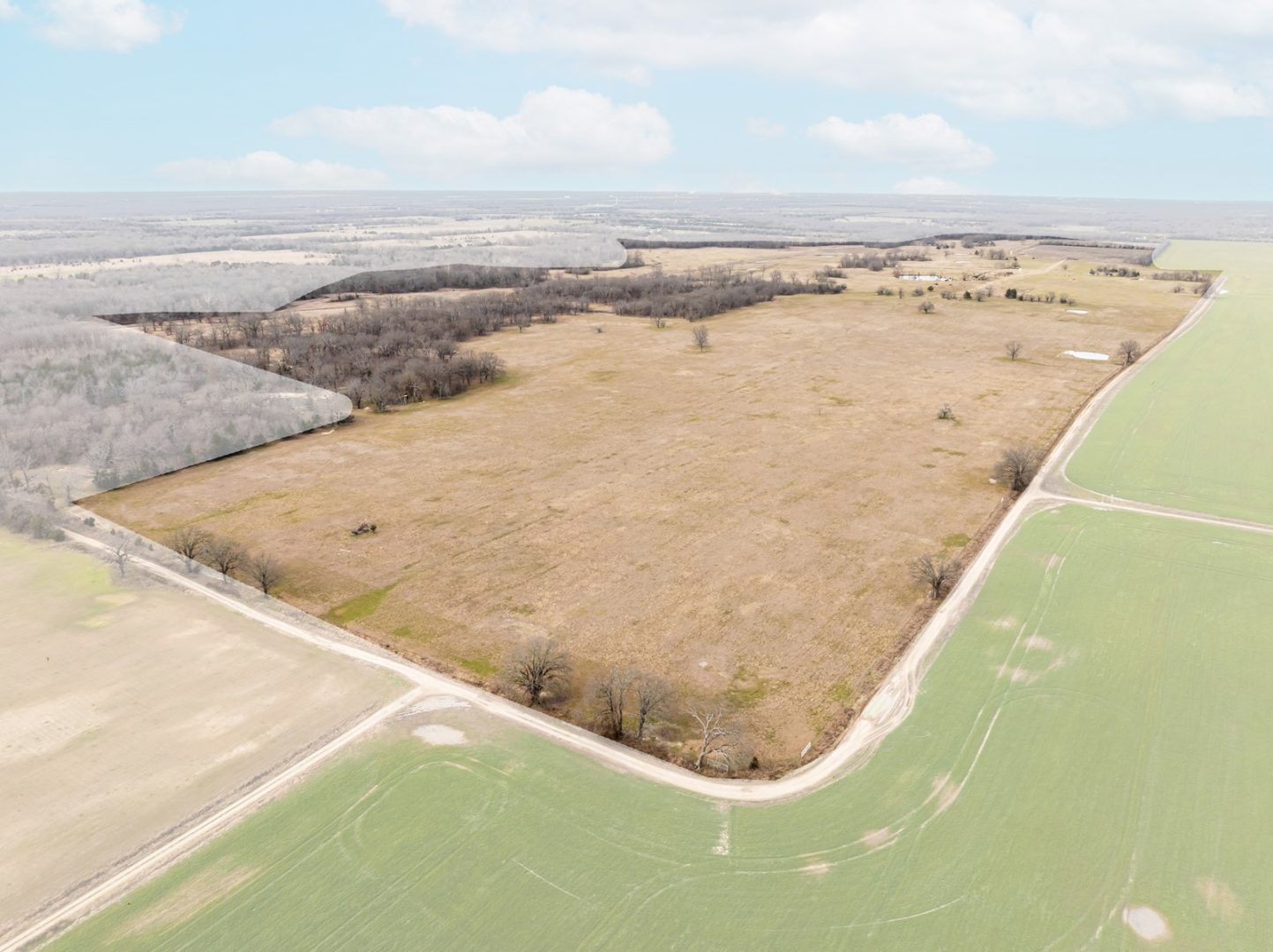 472-Acre Cattle Ranch in Lamar County, TX for Sale | UCRP
