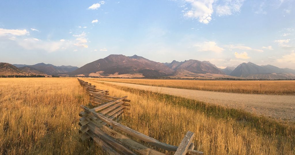 History of Ranching in Montana | UC Ranch Properties