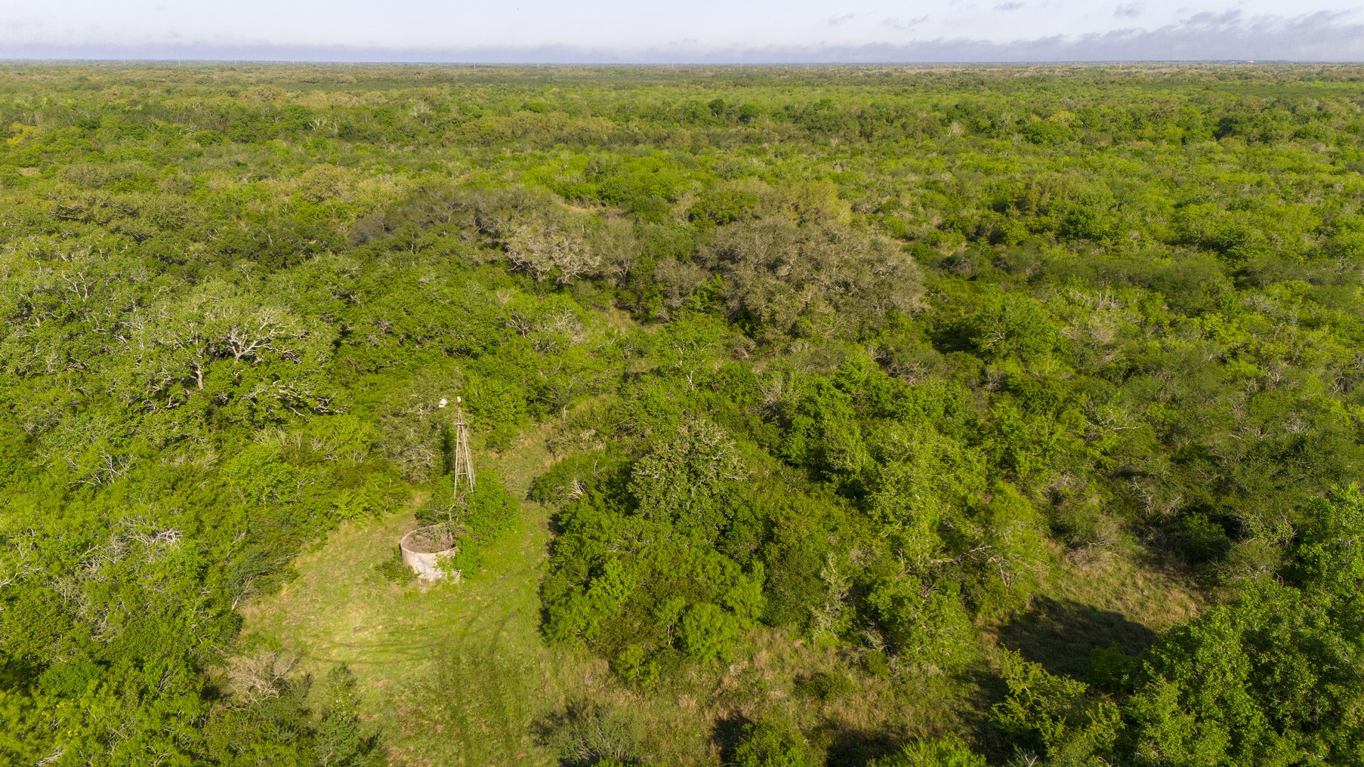 Ultimate South Texas Sportsman's Ranch in Refugio - 433 Acres | UCRP